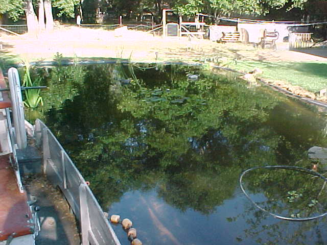 Lloyd Family Pond